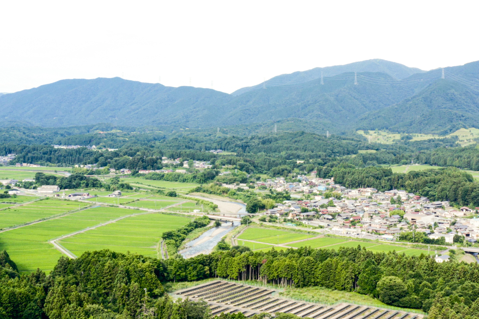 NECSUSとは｜オンラインでGreen MBA®取得を目指すビジネススクール